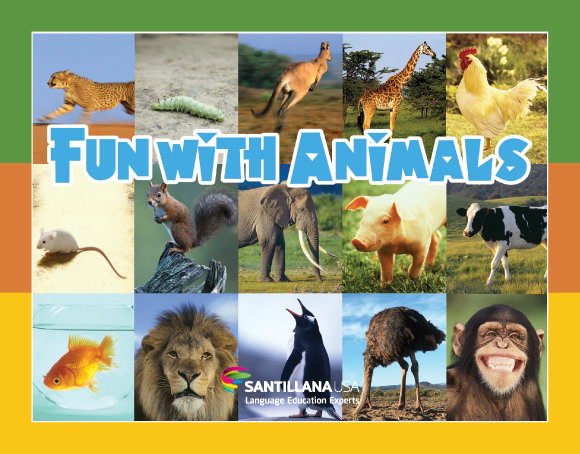 Fun with Animals